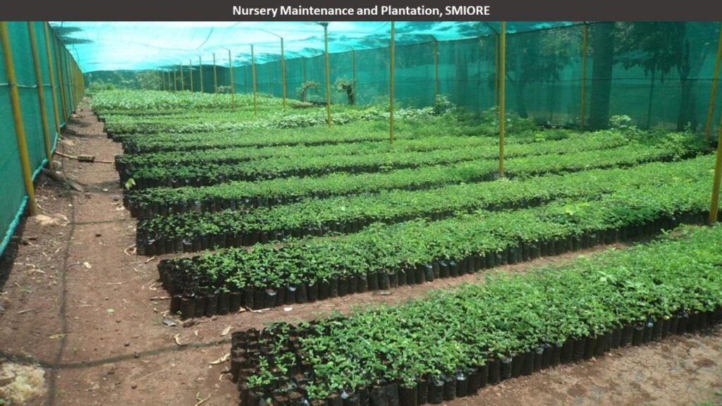 Information – MEMC – Mines Environment & Mineral Conservation